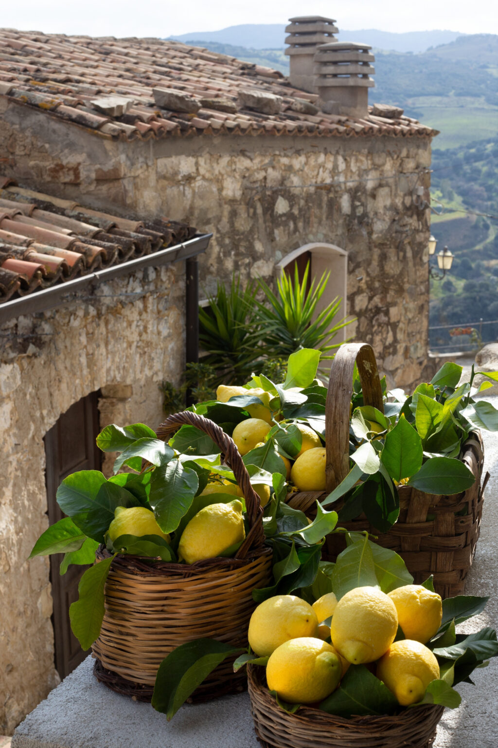 Caratteristiche - Limone di Rocca Imperiale IGP